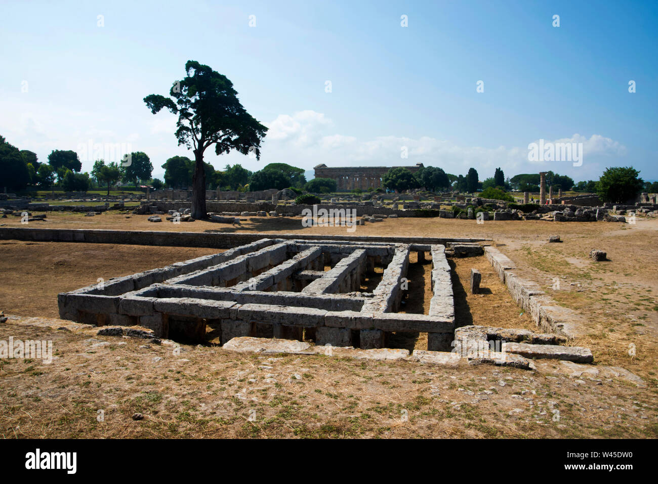 Greek temple complex, ancient remains unearthed after archaeological ...