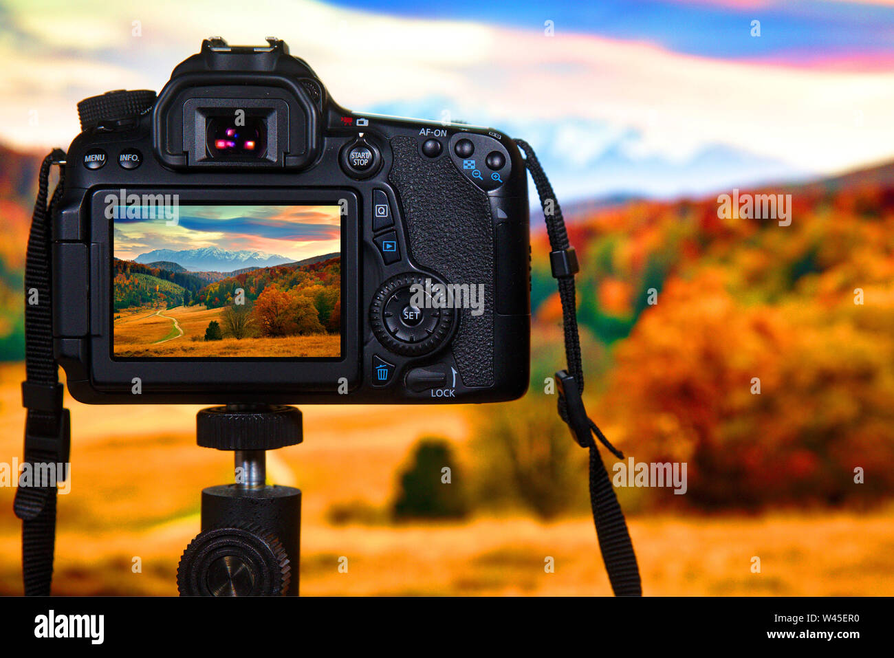 camera backside in natural context Stock Photo - Alamy