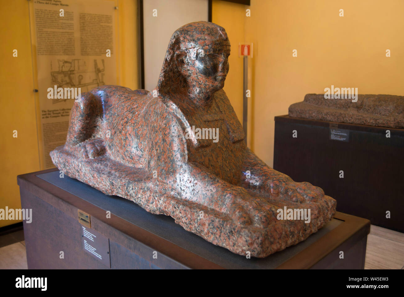 Statue of sphinx in granite, Capitoline Museum, Rome Stock Photo - Alamy