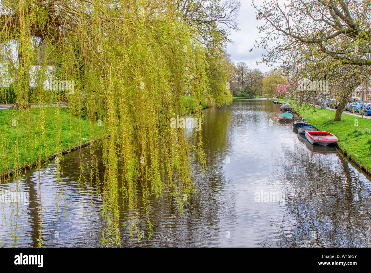 the netherlands a typical dutch city view from the park with water ...