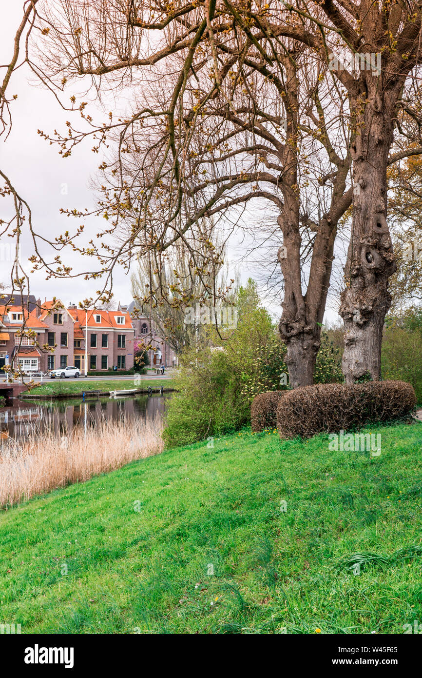 the netherlands a typical dutch city view from the park with water ...
