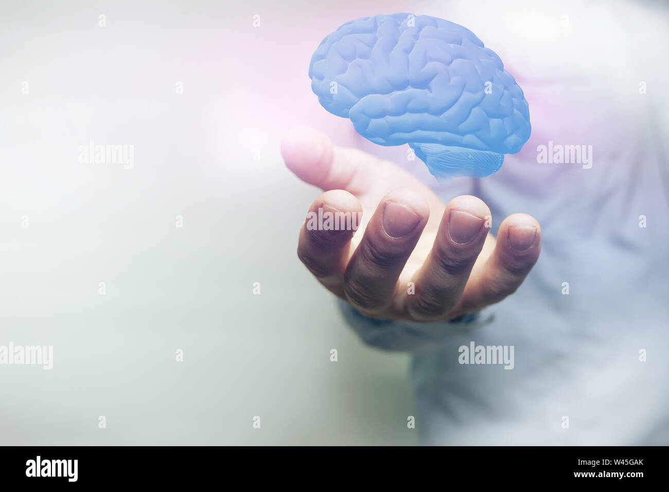 Hand holding human brain organ hi-res stock photography and images - Alamy