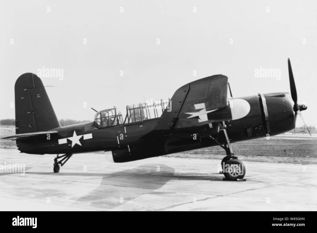 Wolf ground Black and White Stock Photos & Images - Alamy