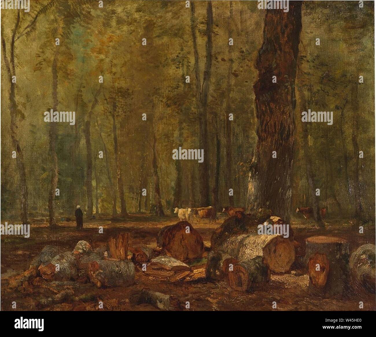 Boslandschap hi-res stock photography and images - Alamy
