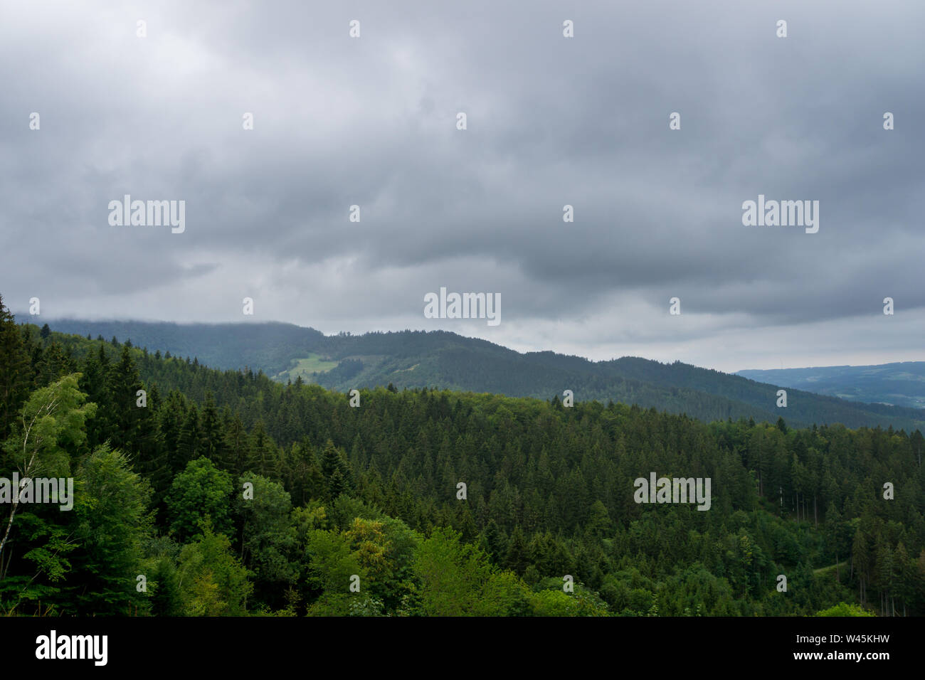 Germany, Dramatic rain cloud sky over intense green forest landscape ...