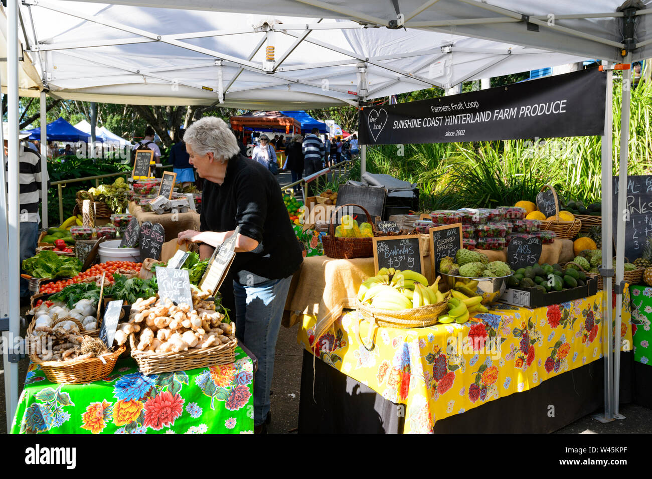 Market Stall selling fresh Sunshine Coast Hinterland farm produce in ...