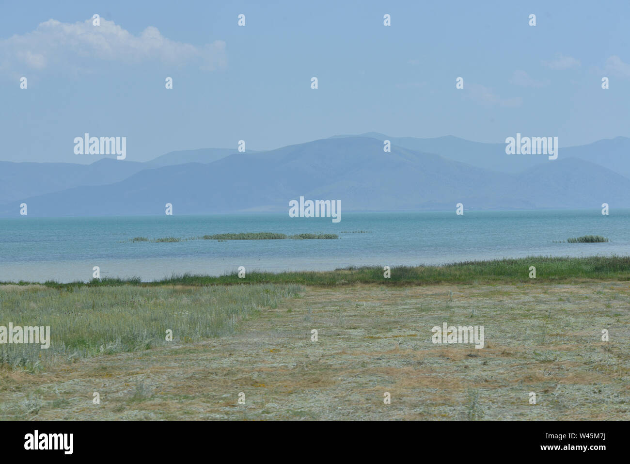 Plastic pollution in lakes hi-res stock photography and images - Alamy