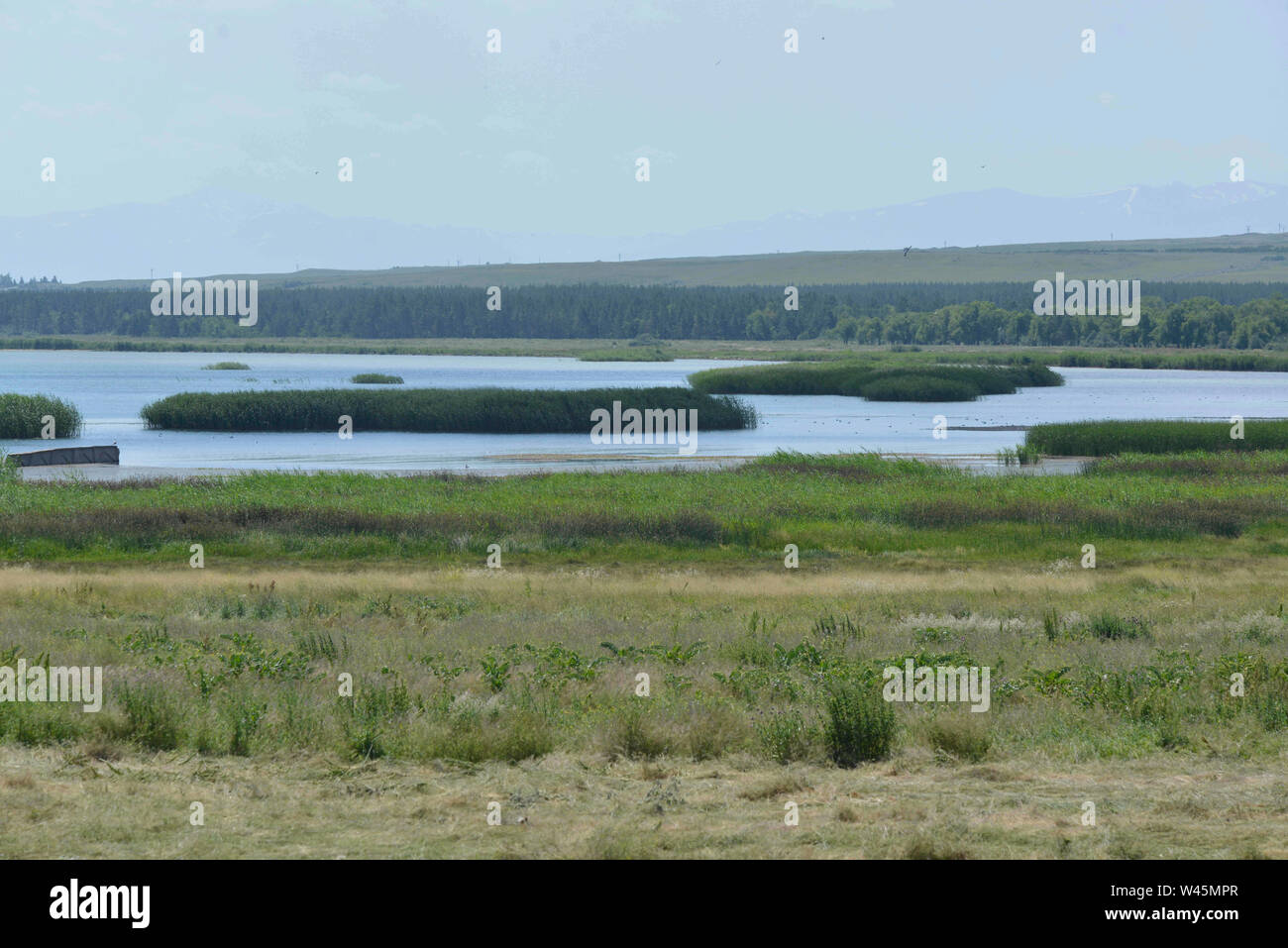 Plastic pollution in lakes hi-res stock photography and images - Alamy