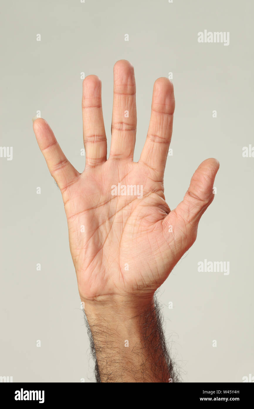 Close up of a man hand making stop gesture Stock Photo - Alamy