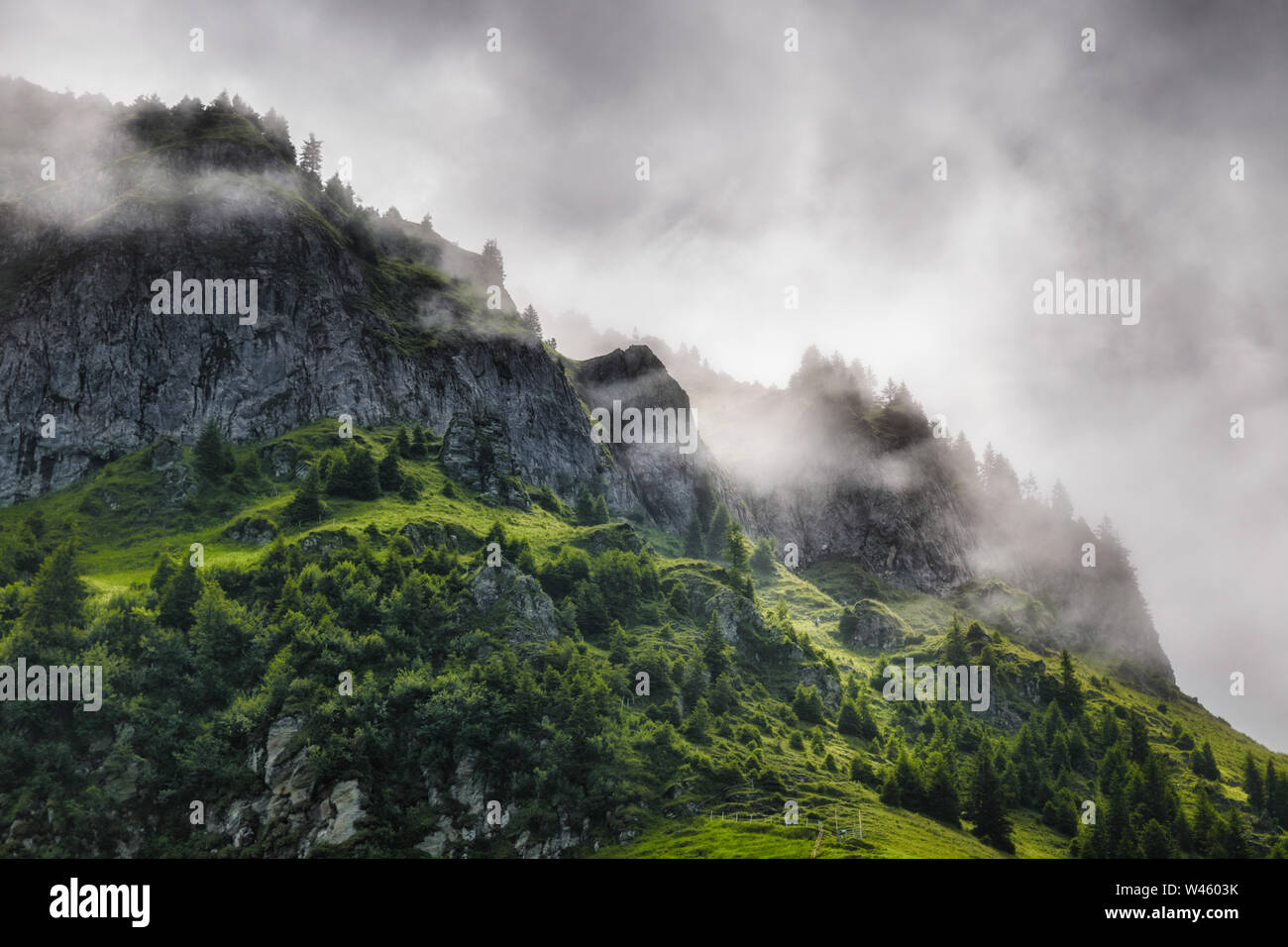 Mist patches hi-res stock photography and images - Alamy