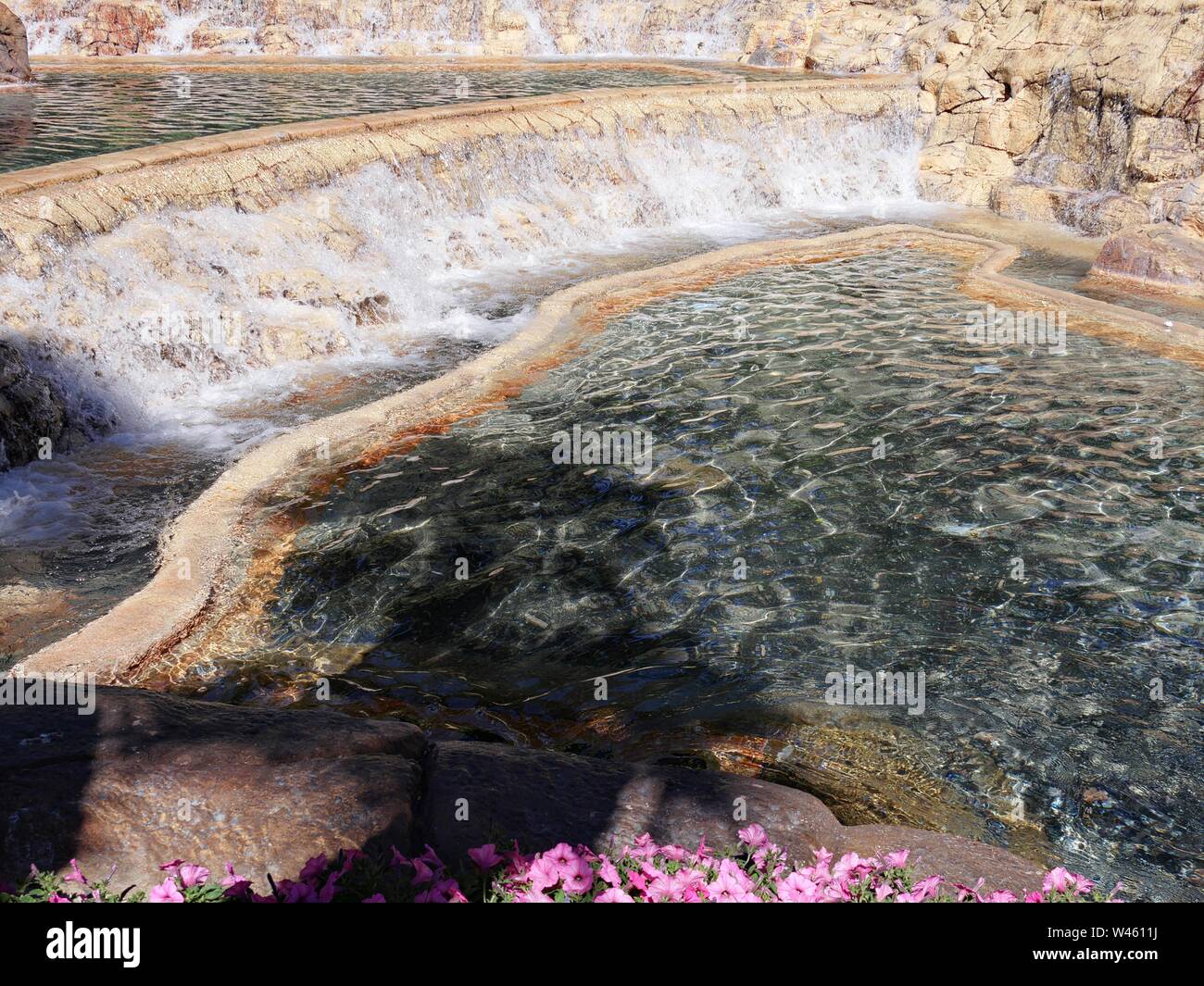 Garden view with water cascading from a waterfalls Stock Photo - Alamy