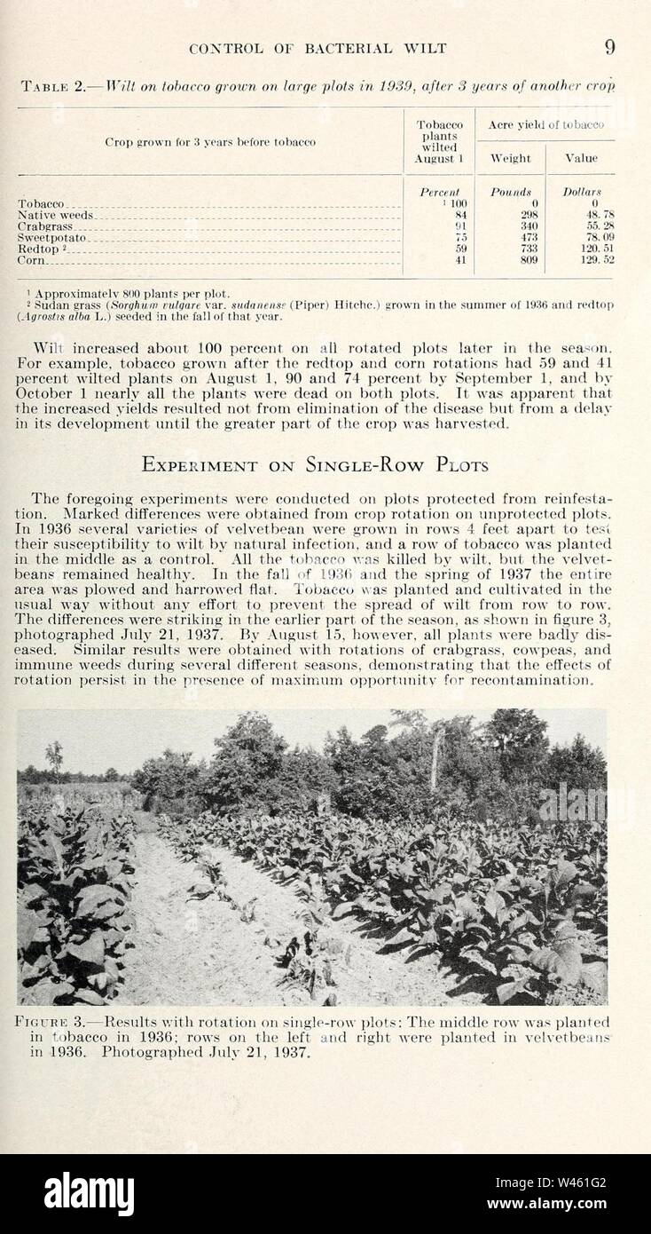 Control of bacterial wilt (Bacterium solanacearum) of tobacco as ...
