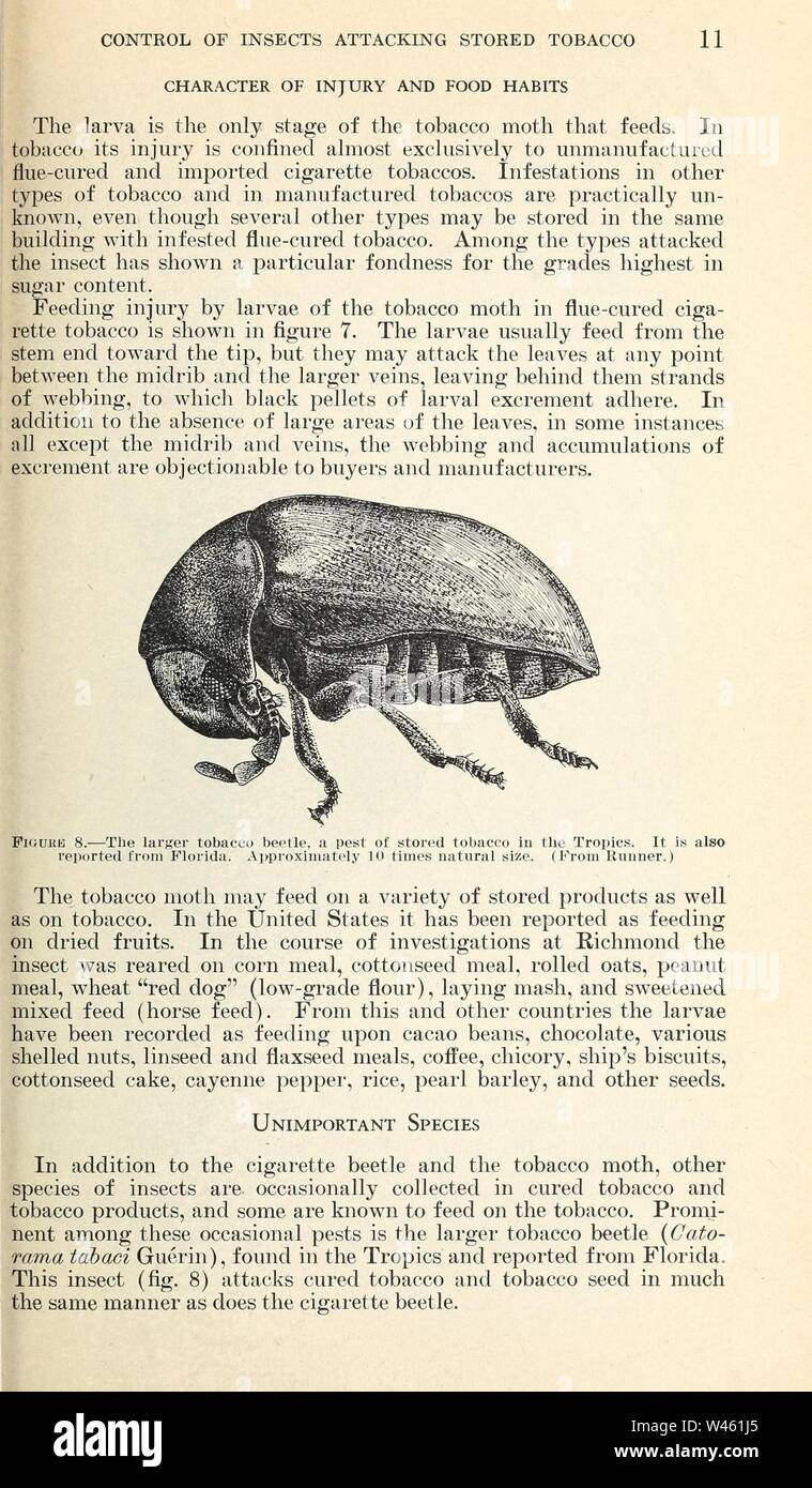 Control of insects attacking stored tobacco and tobacco products (Page ...