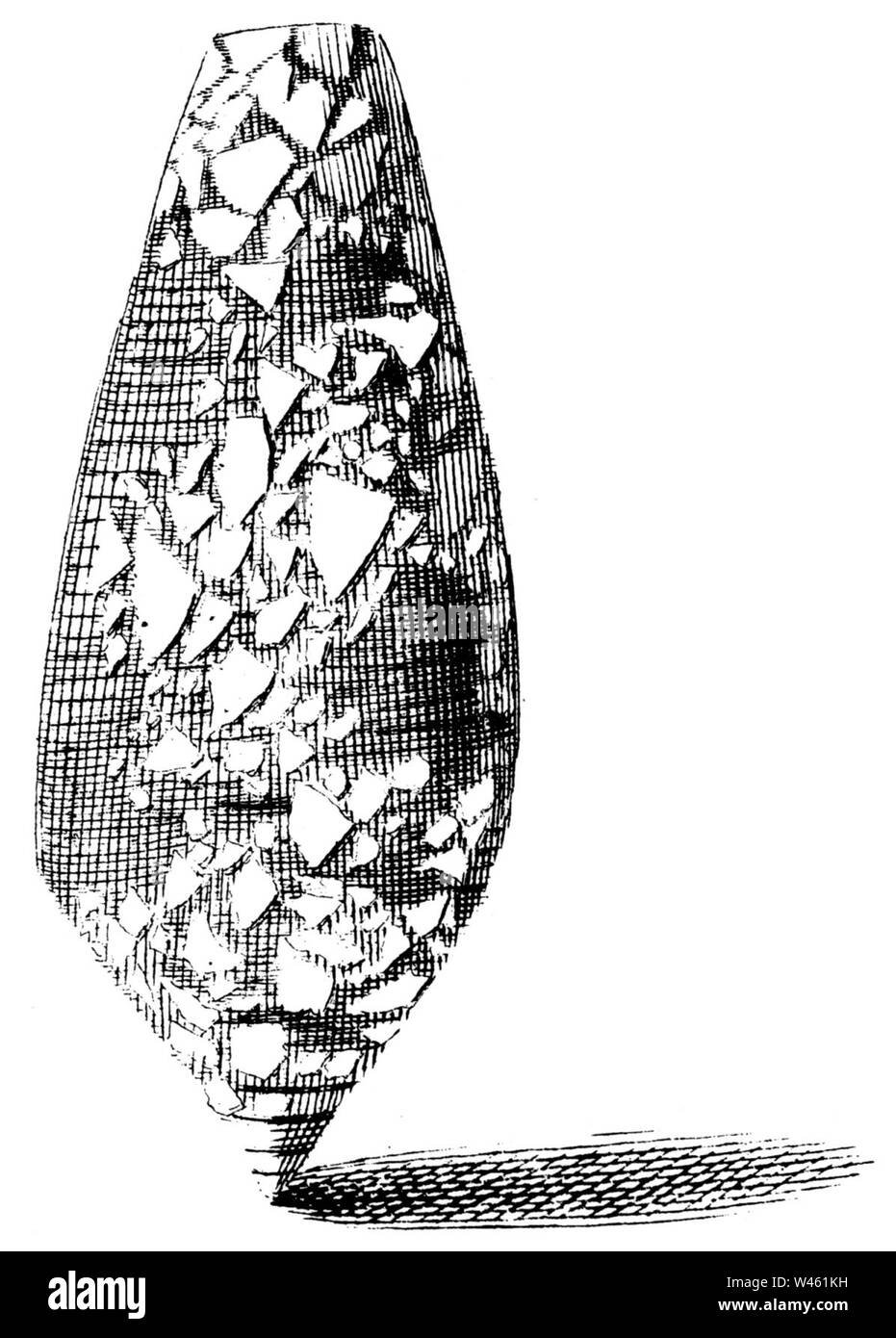 Aulicus hi-res stock photography and images - Alamy