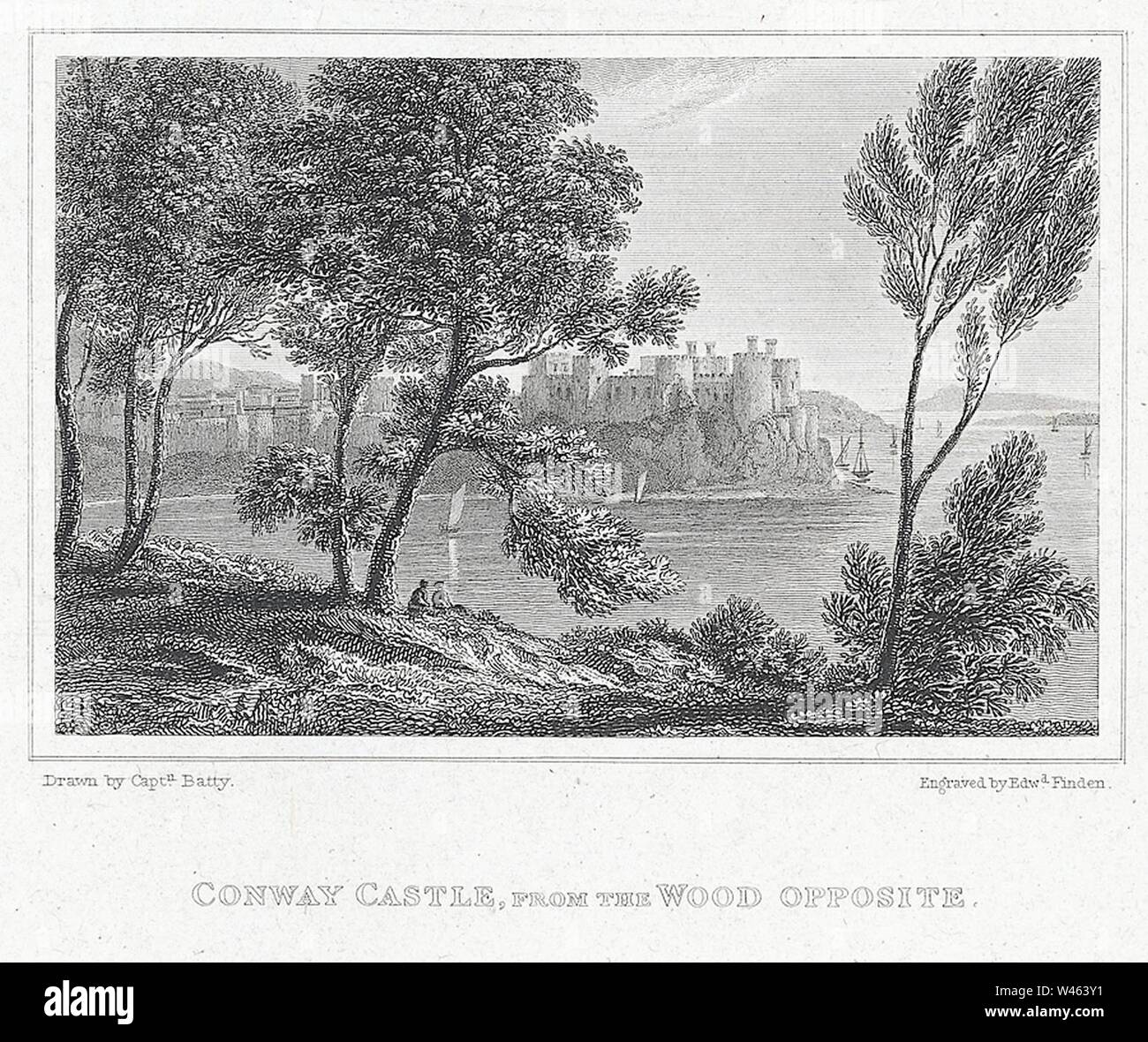 Conway Castle - from the wood opposite Stock Photo - Alamy
