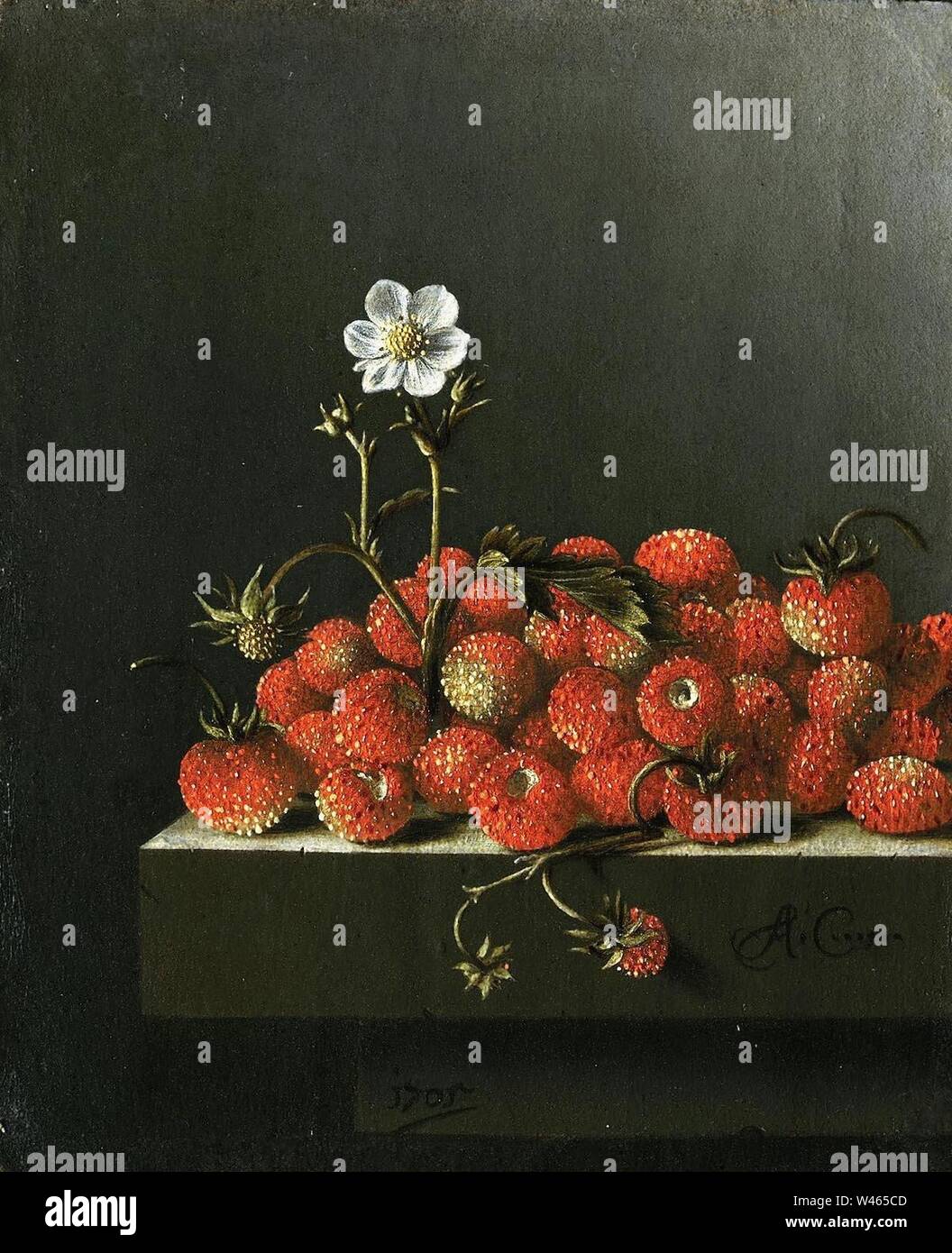 Coorte collection hi-res stock photography and images - Alamy