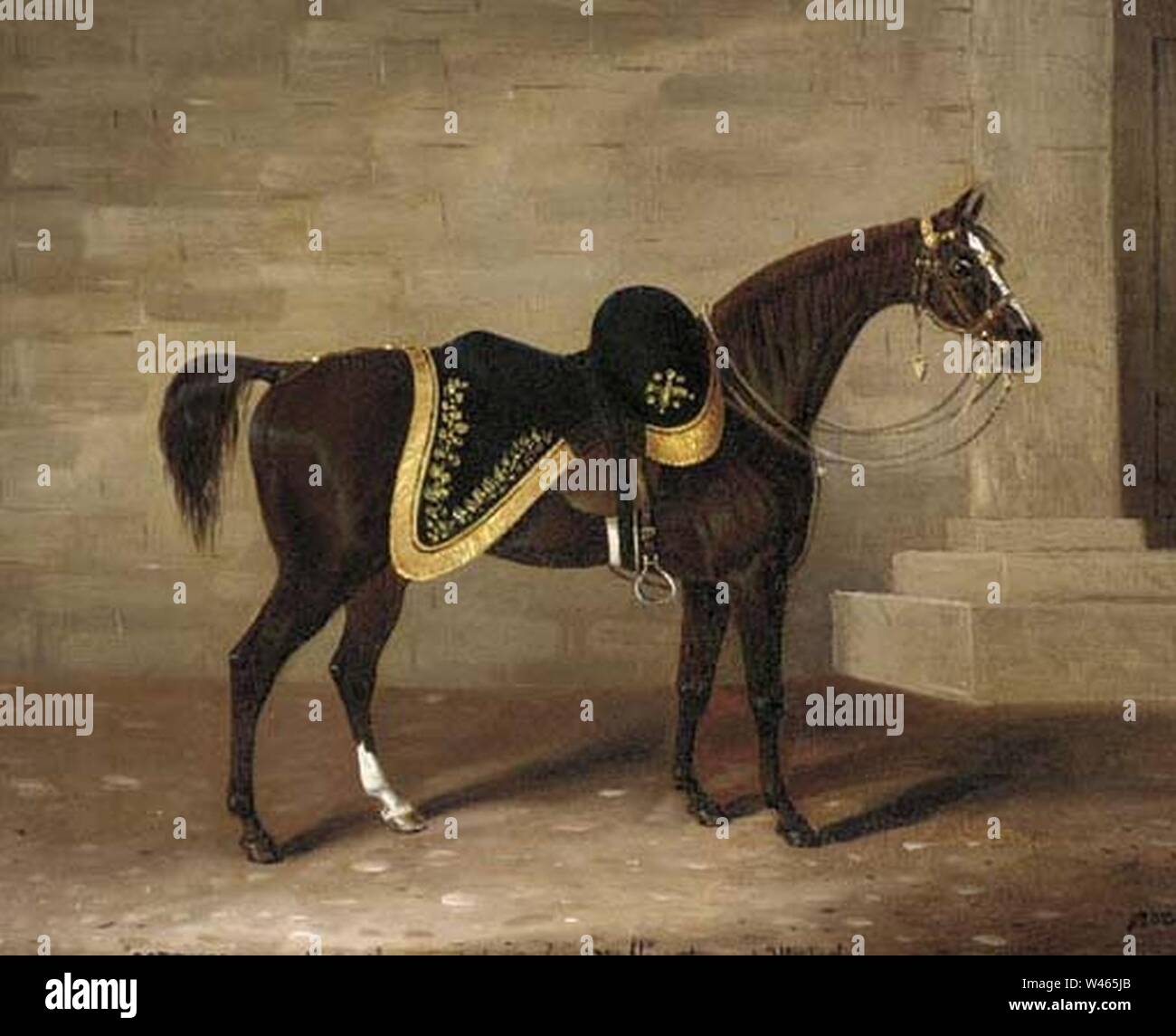 Wellingtons horse hi-res stock photography and images - Alamy