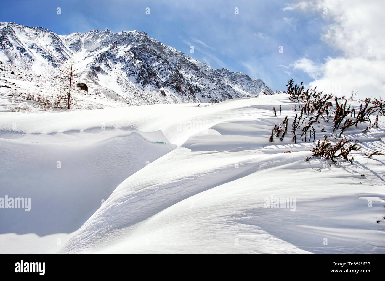 Fresh snow cover hi-res stock photography and images - Alamy