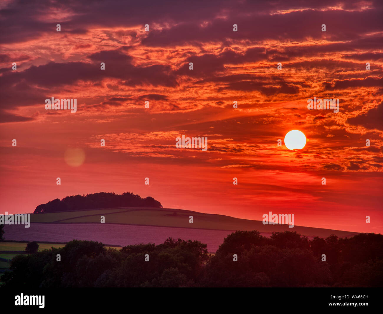 Red Park Sun 32 New Year's Day – Kings Park (Australia) – Siesta