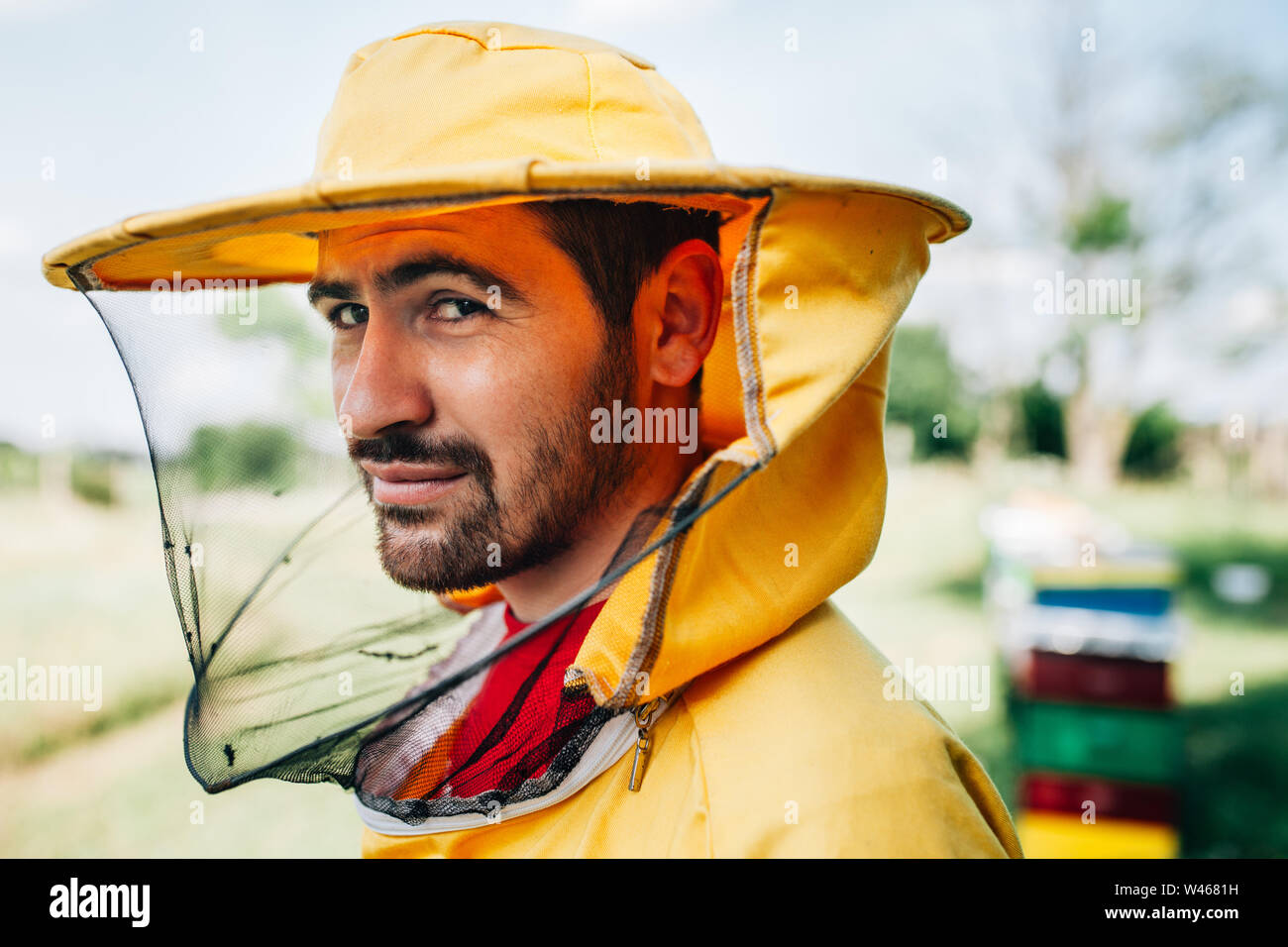 Portrait of beard young apiarist working with his bees Stock Photo - Alamy