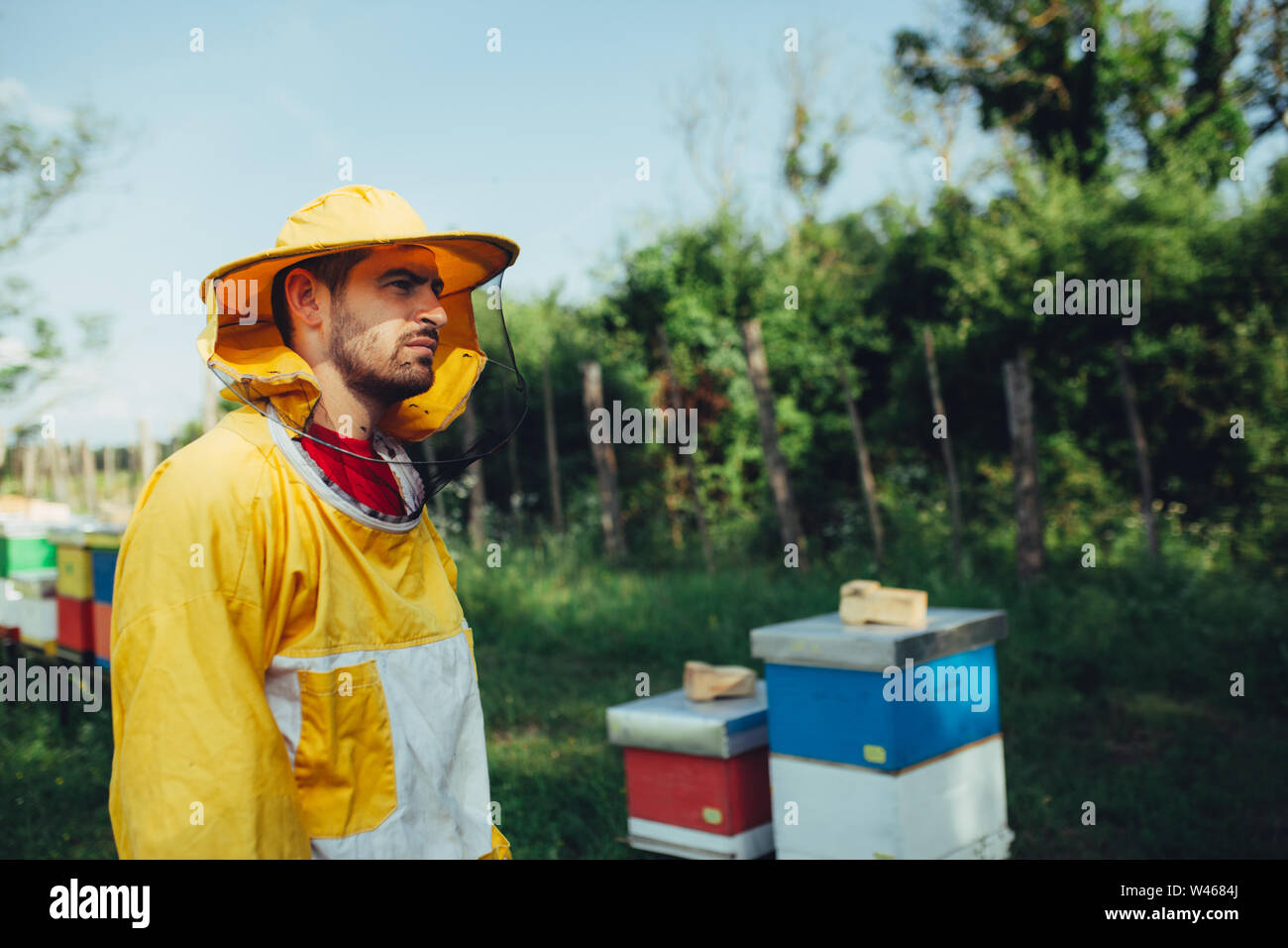 Young beekeeper in yellow hi-res stock photography and images - Alamy