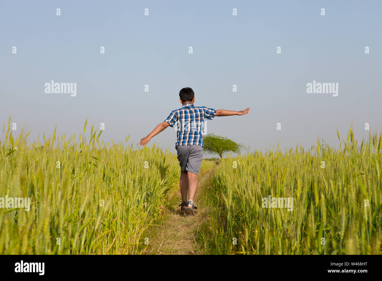 Boy running in a field Stock Photo - Alamy