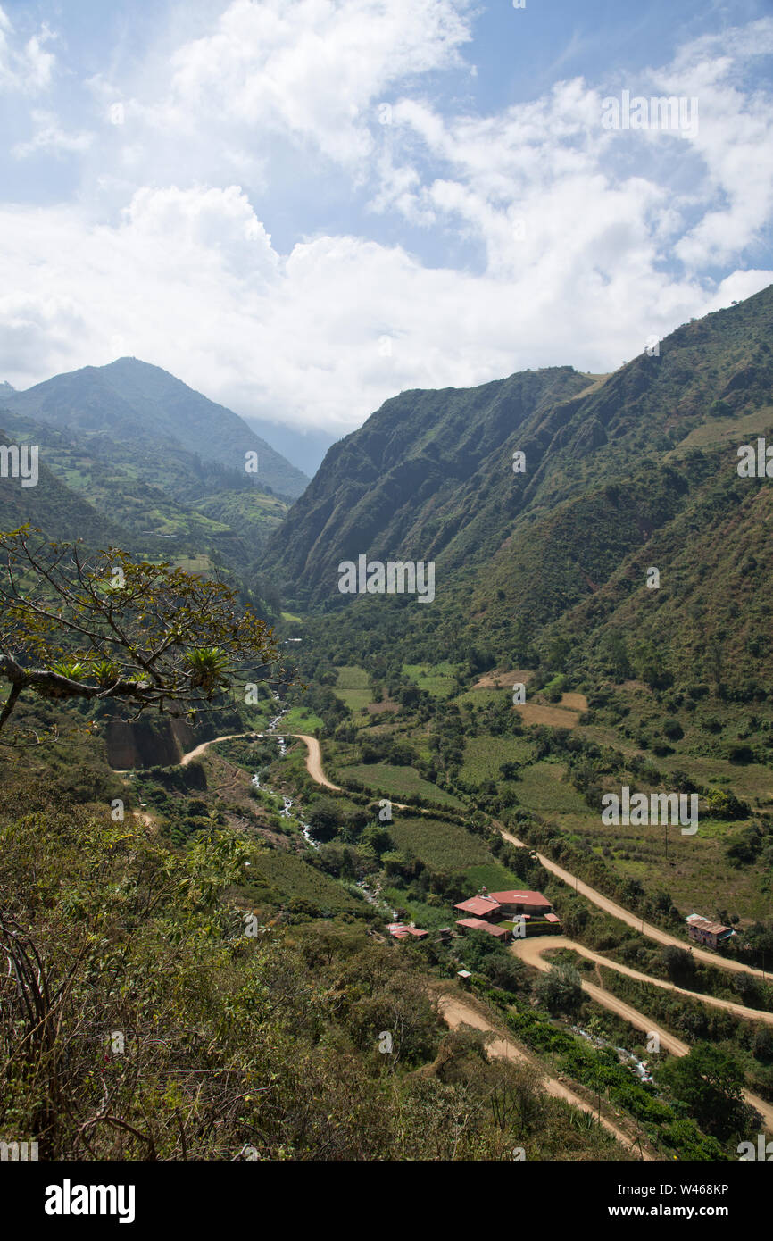 Huamachuco to Cajamarca,Northern Peru Highlands,Flowering Hillsides ...