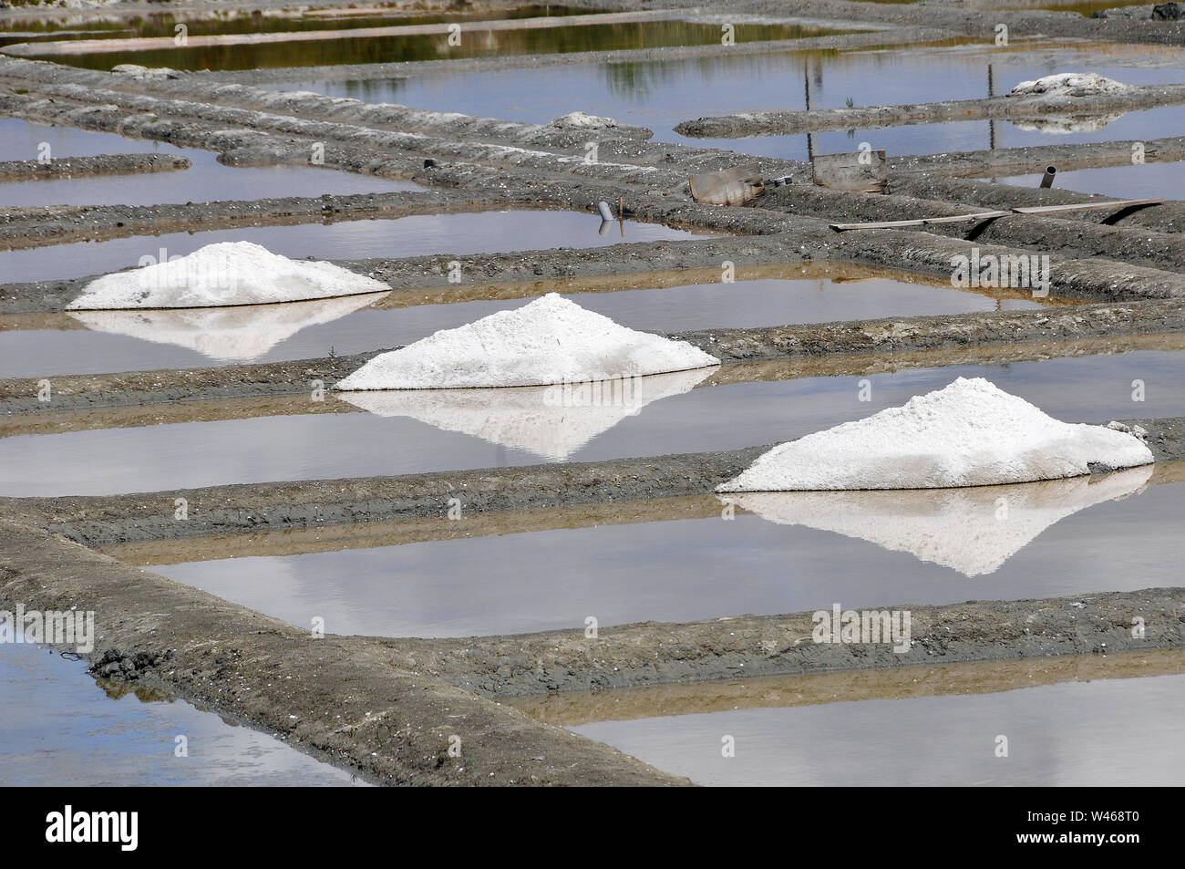Salt evaporation pond, Batz-sur-Mer, Île de Ré, Isle of Rhé, France ...