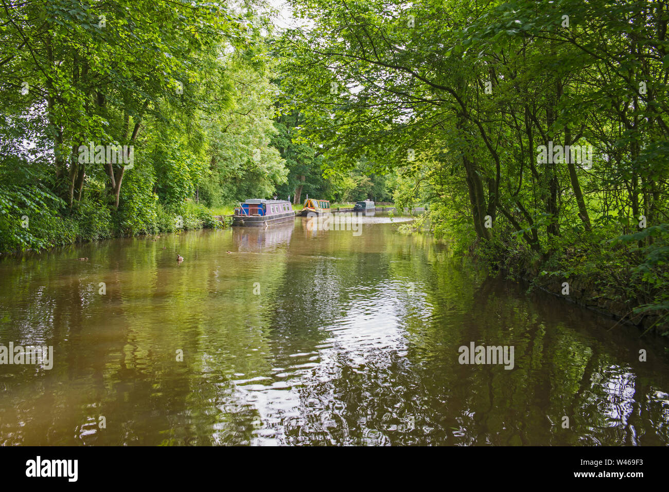 Narrowboats moored up in English rural countryside scenery on British ...