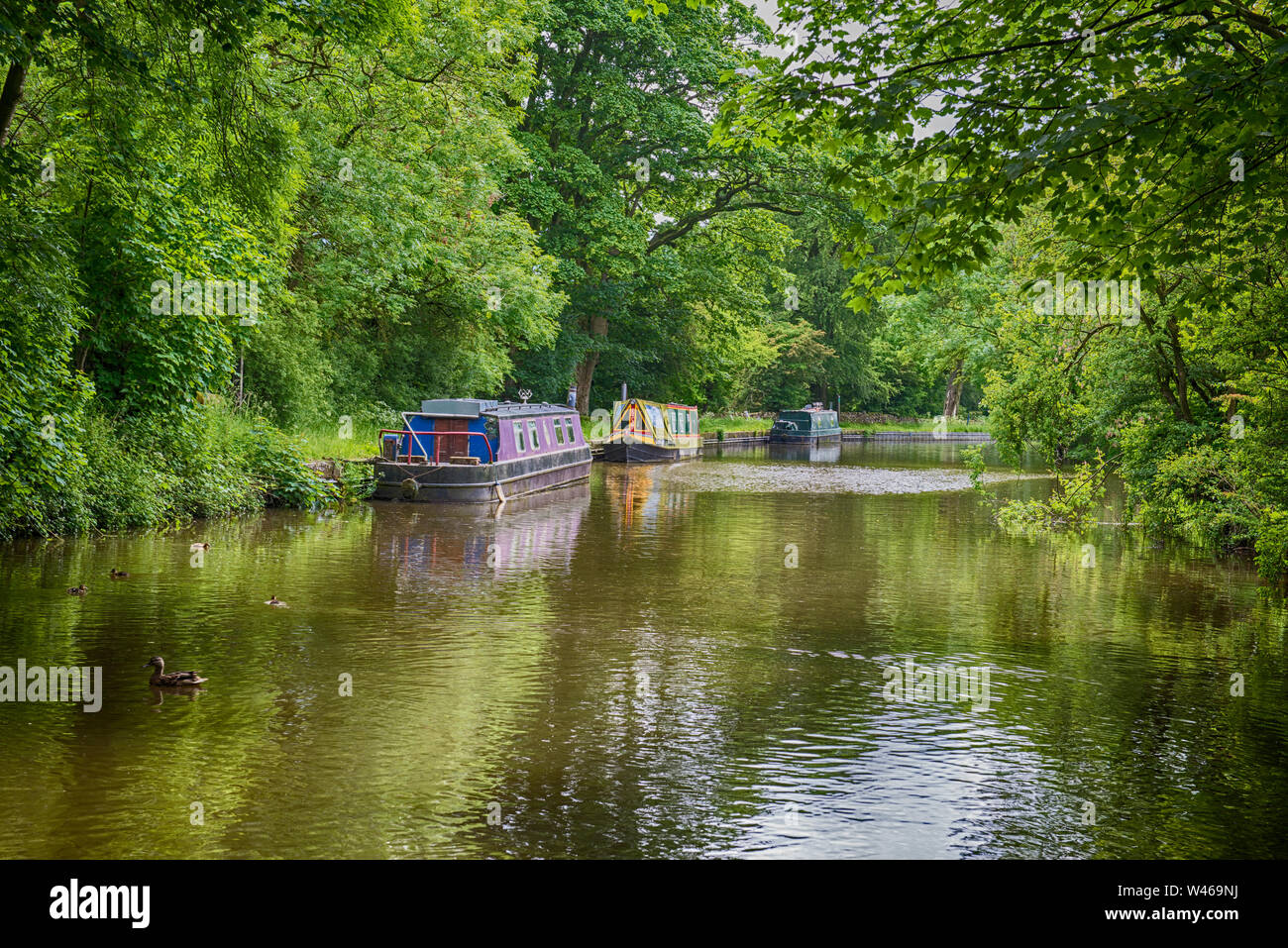 Narrowboats moored up in English rural countryside scenery on British ...