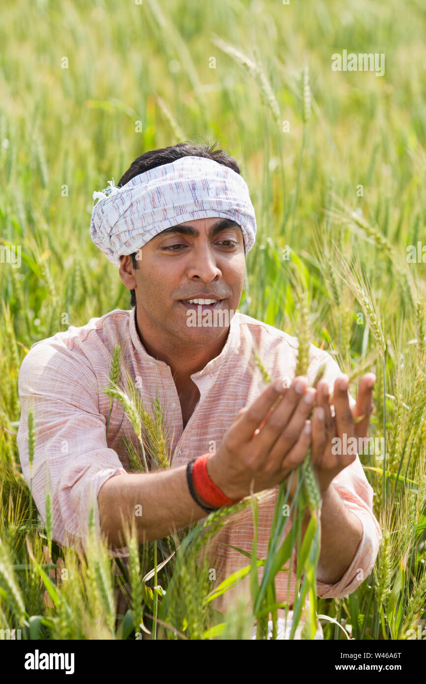 Sitting checking plant farmer hi-res stock photography and images - Alamy