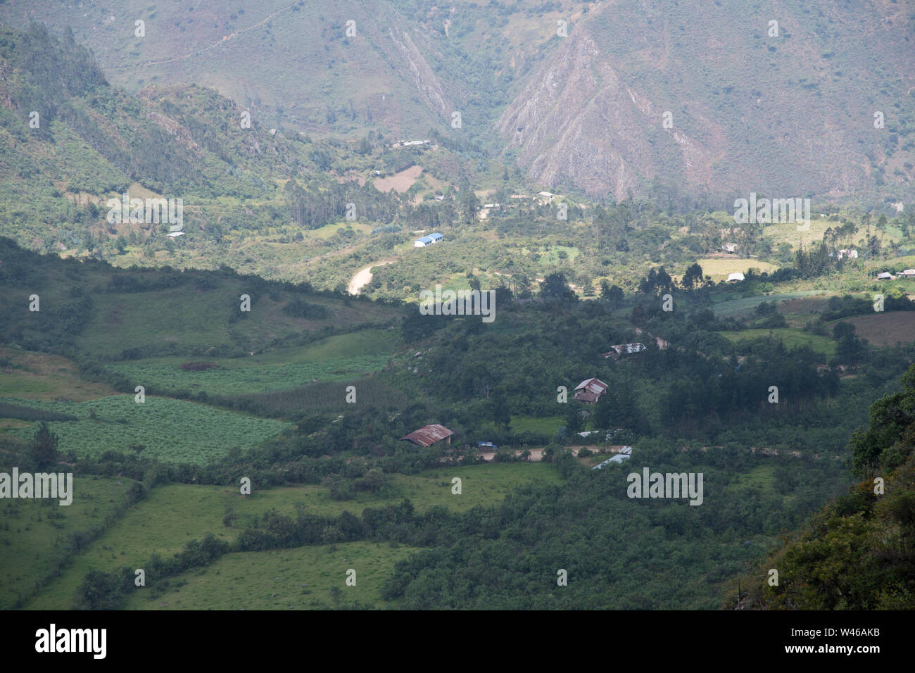 Huamachuco to Cajamarca,Northern Peru Highlands,Flowering Hillsides ...