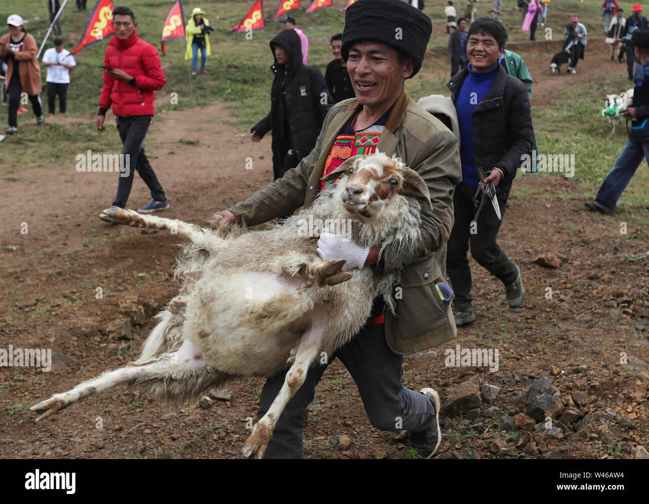 Sheep fight people hi-res stock photography and images - Alamy