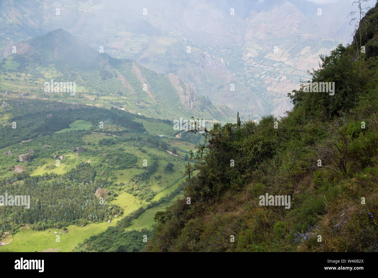 Huamachuco to Cajamarca,Northern Peru Highlands,Flowering Hillsides ...