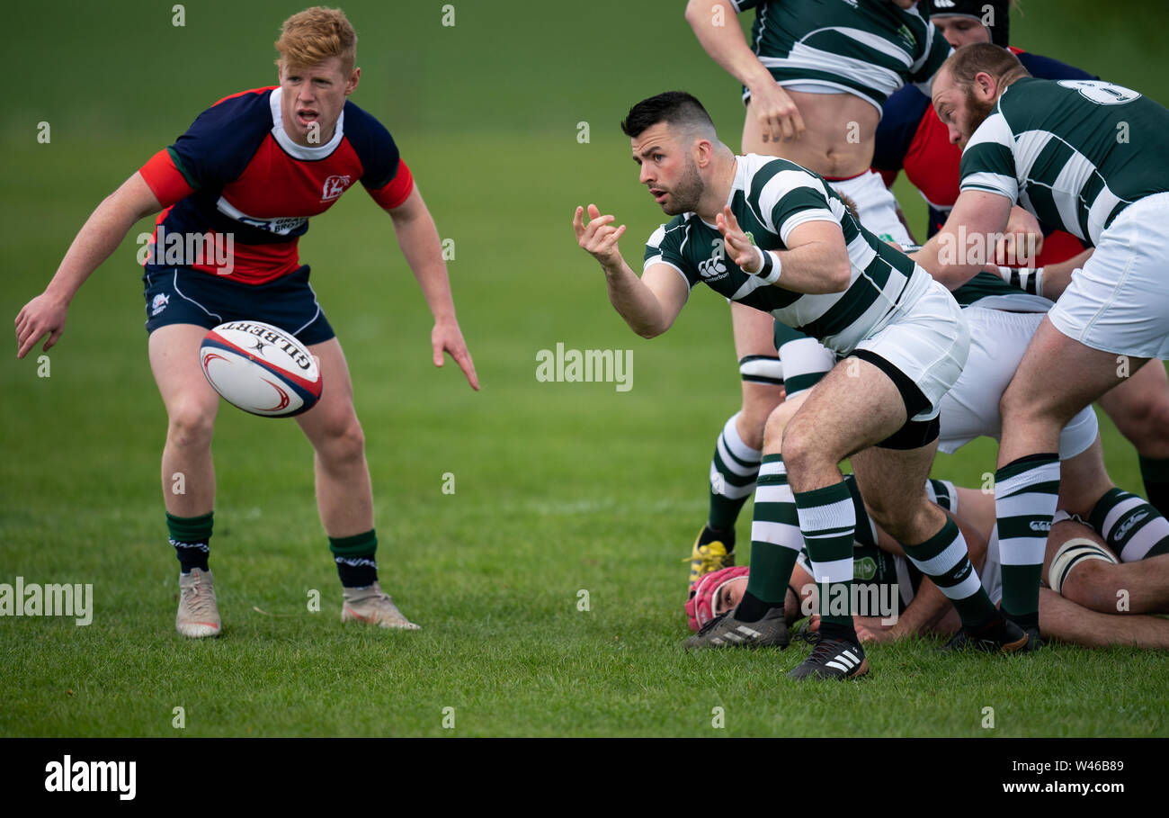 Rugby players in action Stock Photo - Alamy