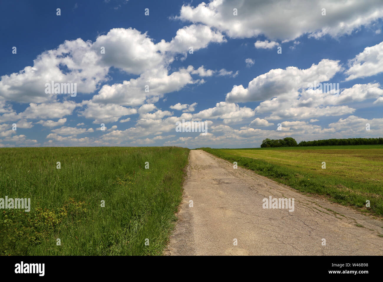 Field road among meadows and fields Stock Photo - Alamy