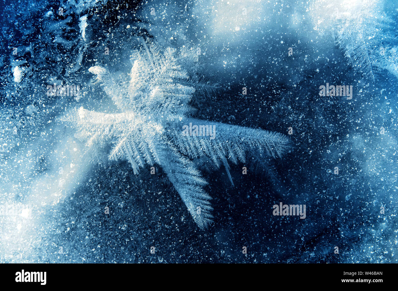 Real snowflake close up hi-res stock photography and images - Alamy