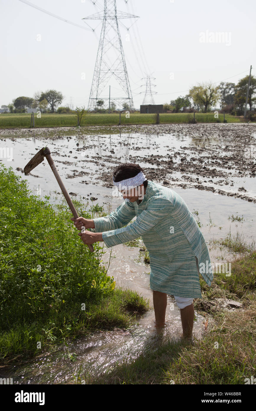 Farmer irrigating his field Stock Photo - Alamy