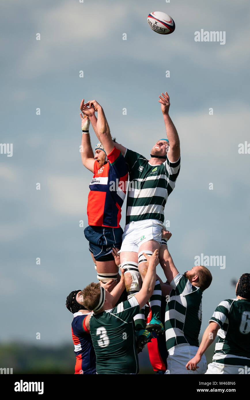 Rugby players in action Stock Photo - Alamy