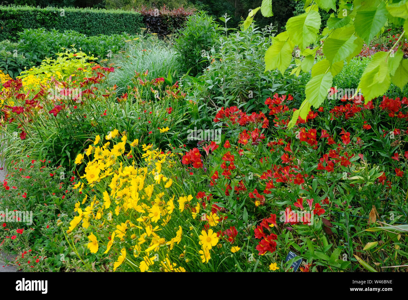 Lush summer hi-res stock photography and images - Alamy