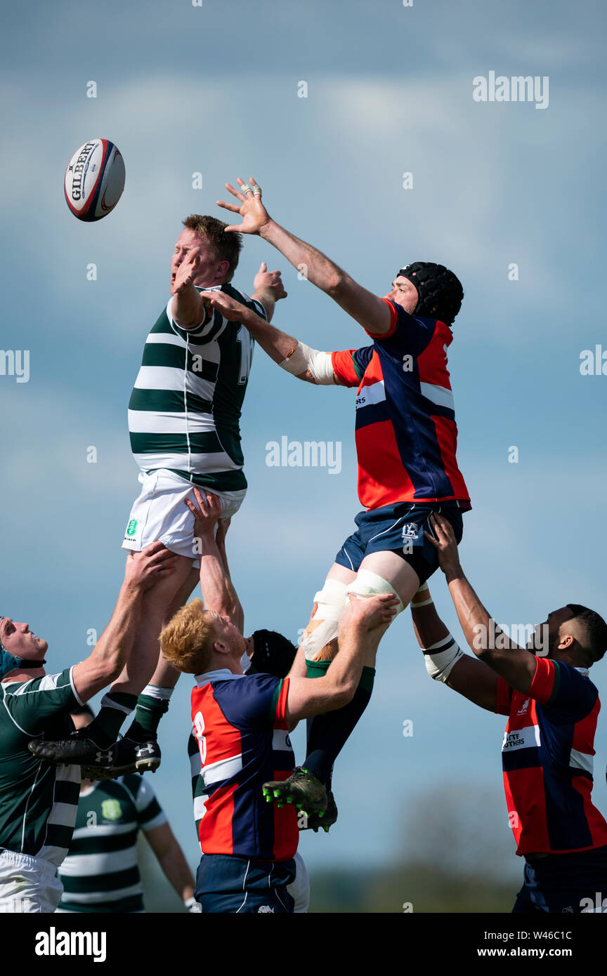 Rugby players in action Stock Photo - Alamy