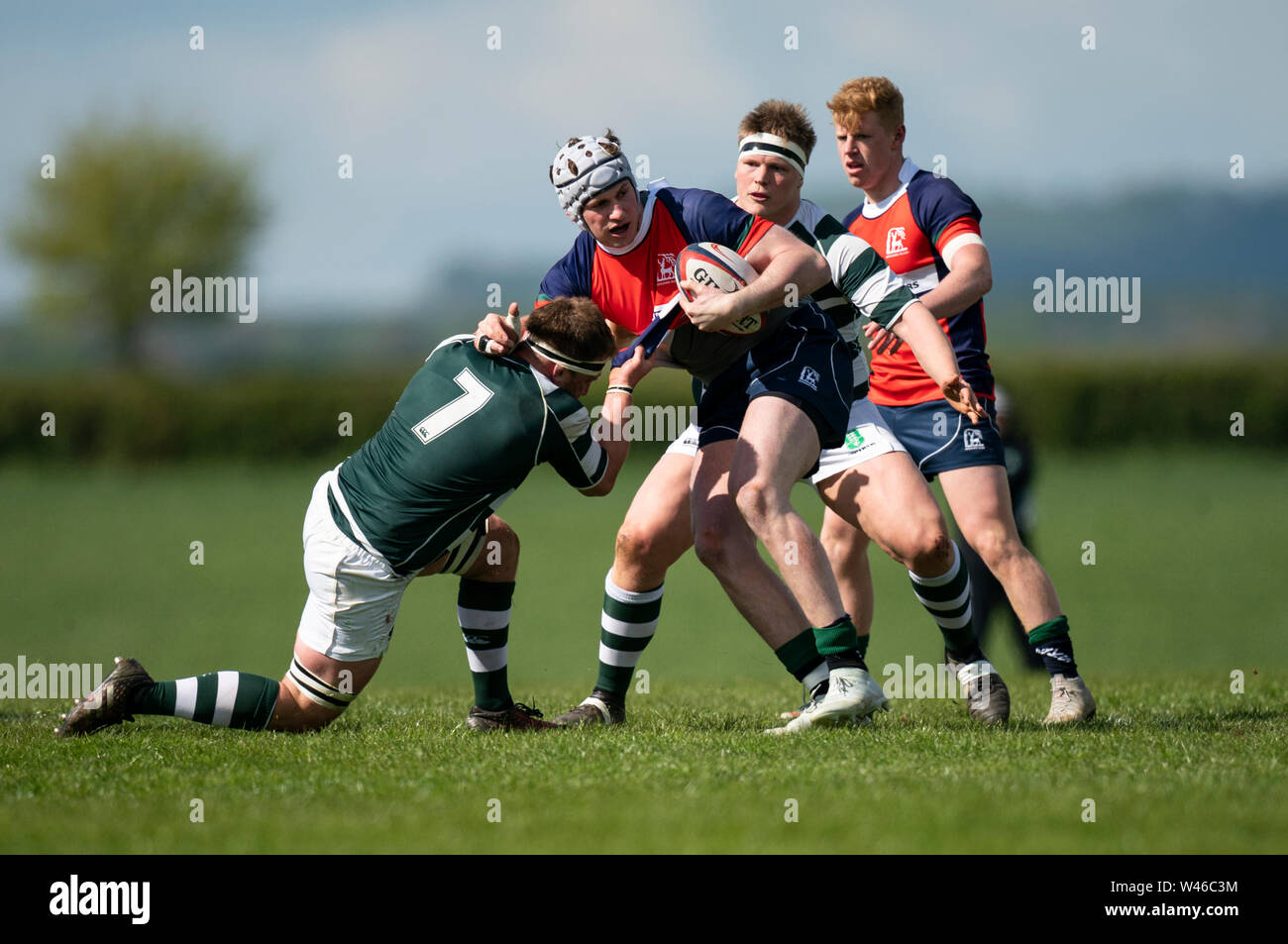 Rugby players in action Stock Photo - Alamy