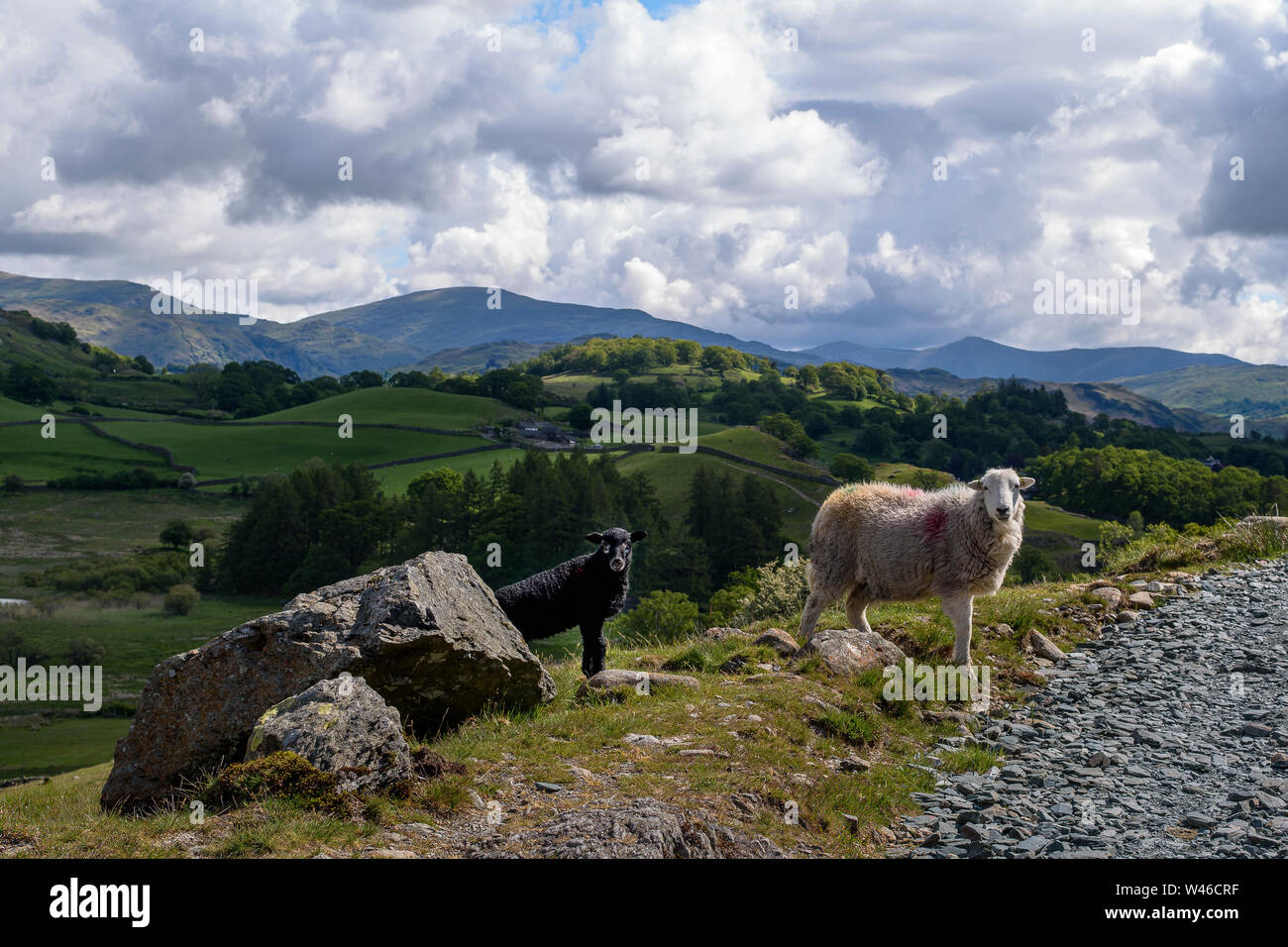 Lakeland fells hi-res stock photography and images - Alamy