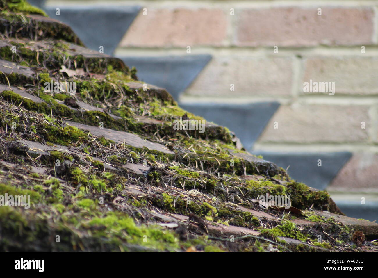 Moss on the roof hi-res stock photography and images - Alamy