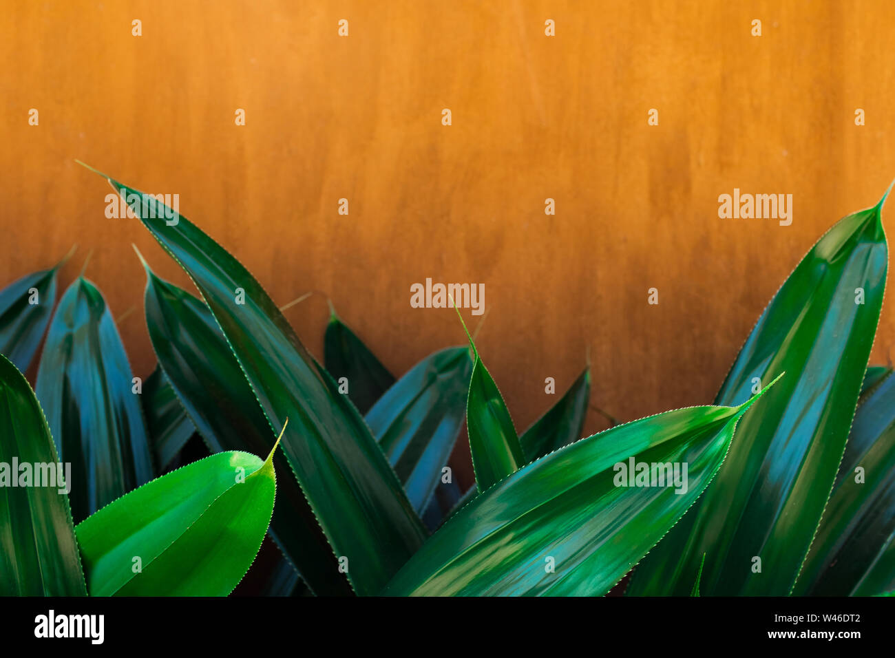 Traditional moroccan terracotta colored background with green tropical ...