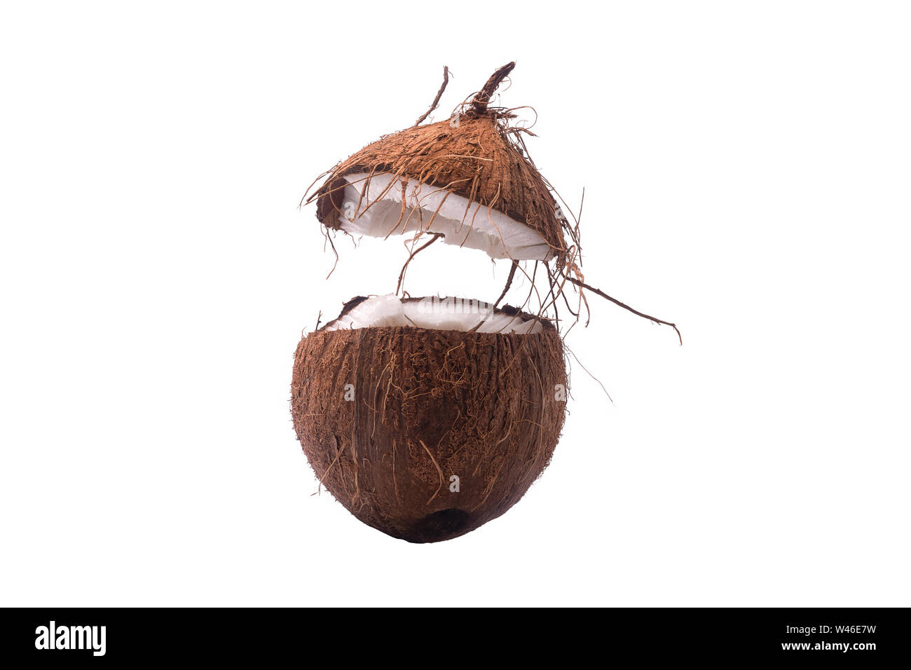 Two coconut section halves isolated on white background one broken in ...