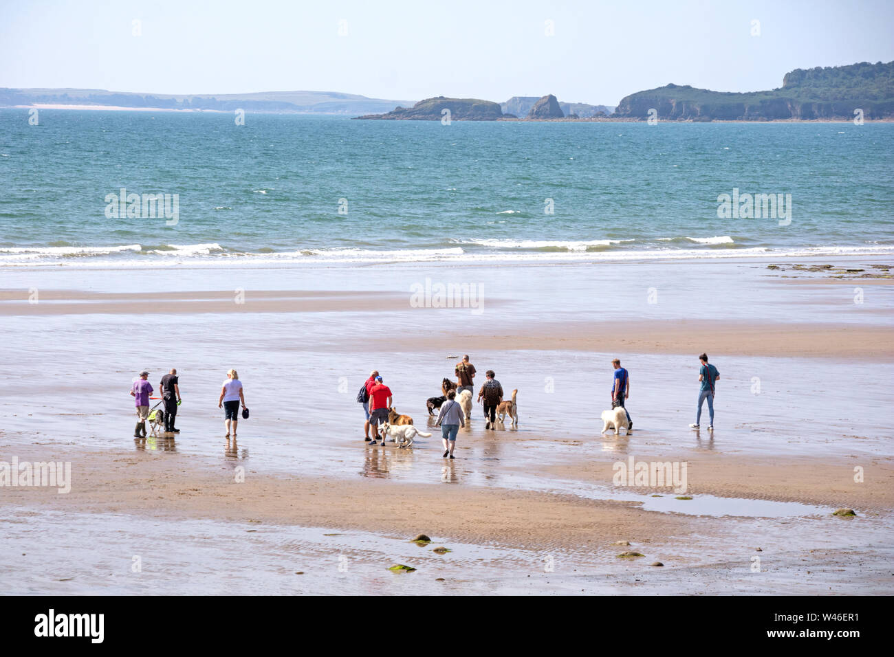 People walking dogs on beach hi-res stock photography and images - Alamy