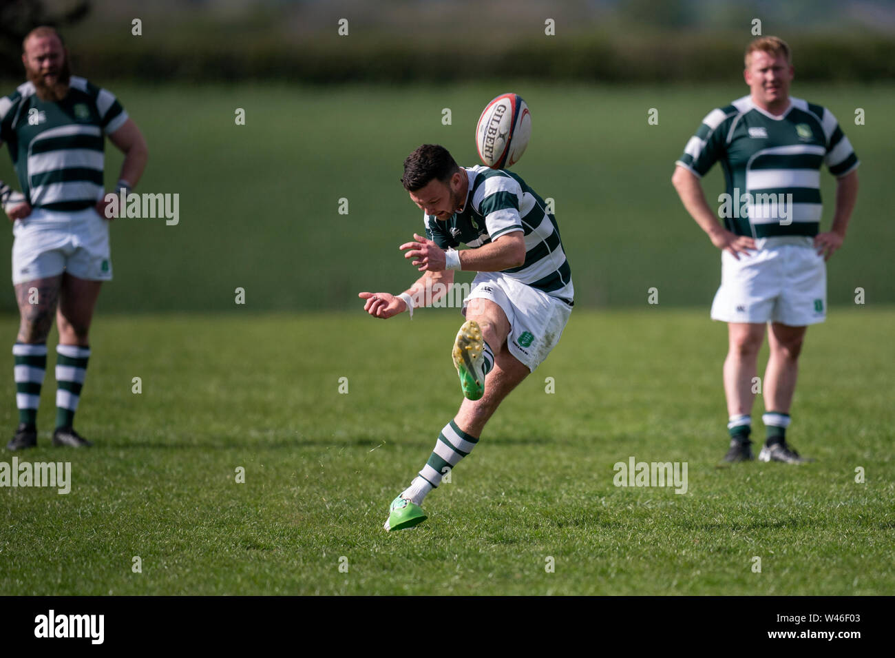 Rugby players in action Stock Photo - Alamy