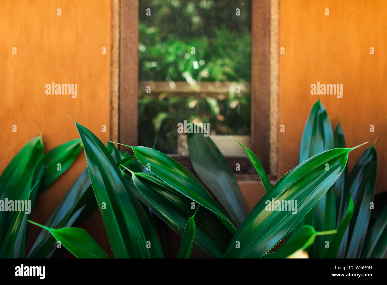 Traditional moroccan terracotta colored background with green tropical ...