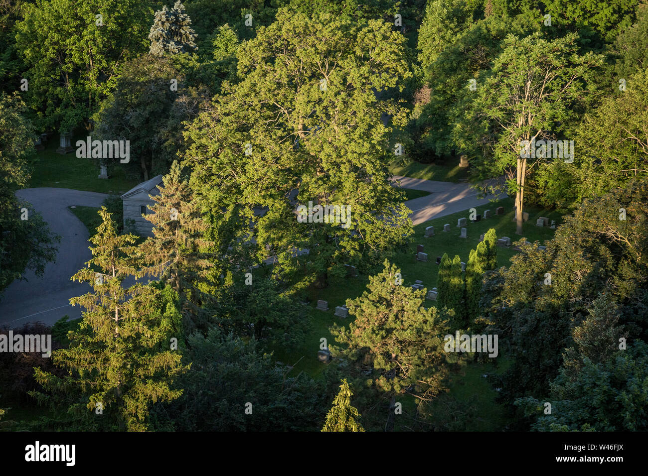Toronto canada vegetation hi-res stock photography and images - Alamy